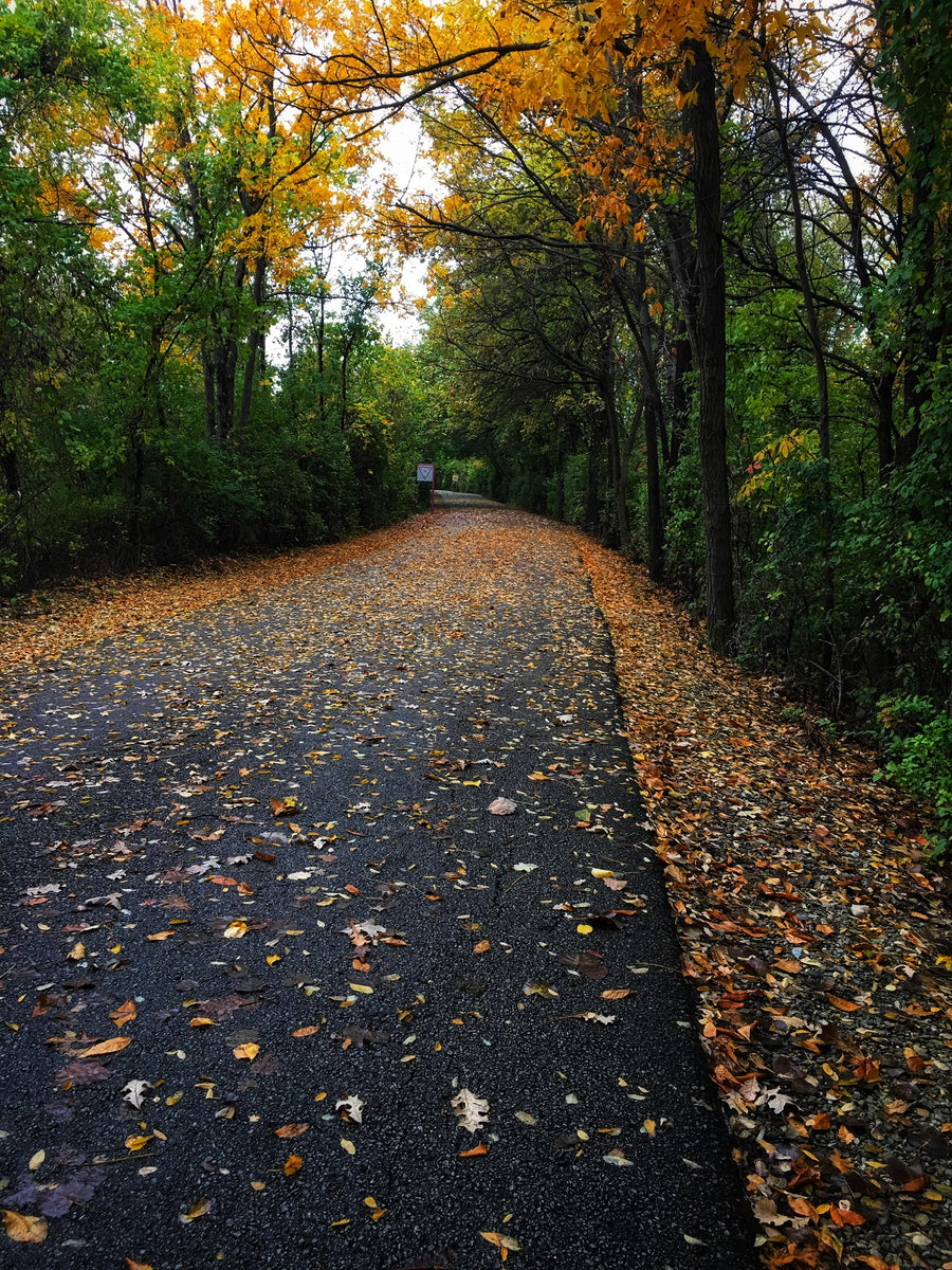 Top Five Fall Race Tips – Monon Track Club